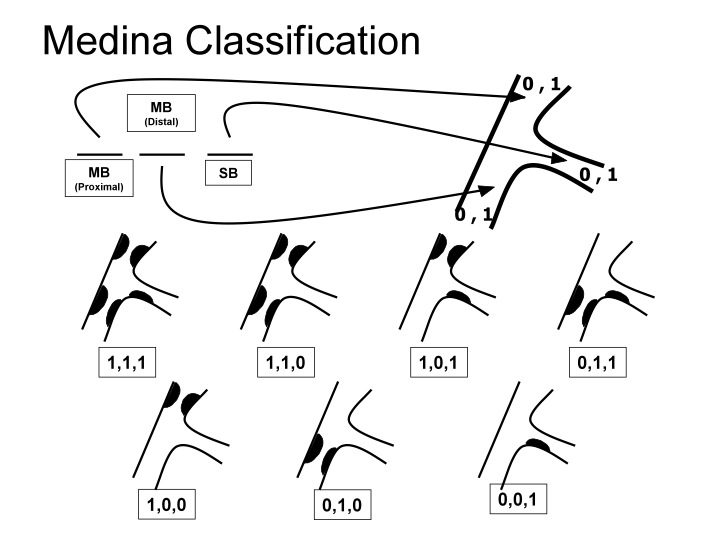 Quelques définitions - Cardio paramed : Cardio paramed